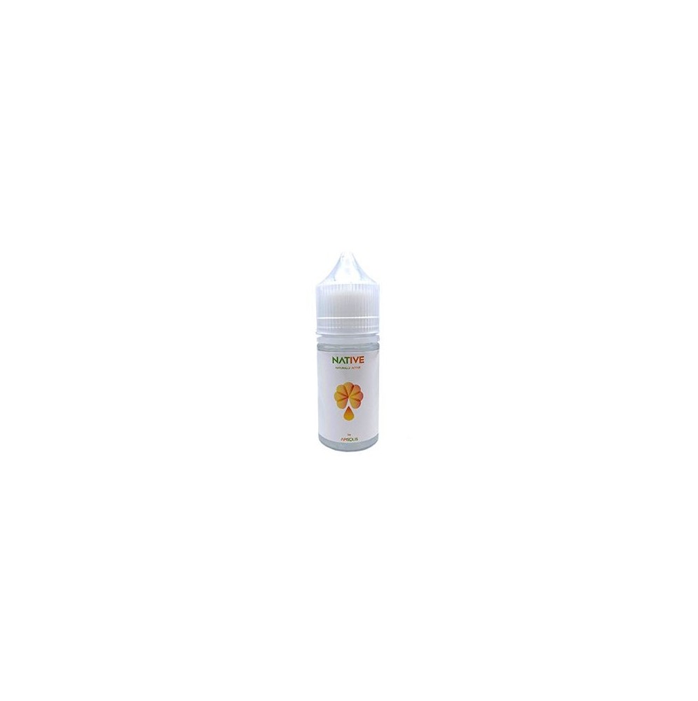 Vaporisateur APISOLIS électronique